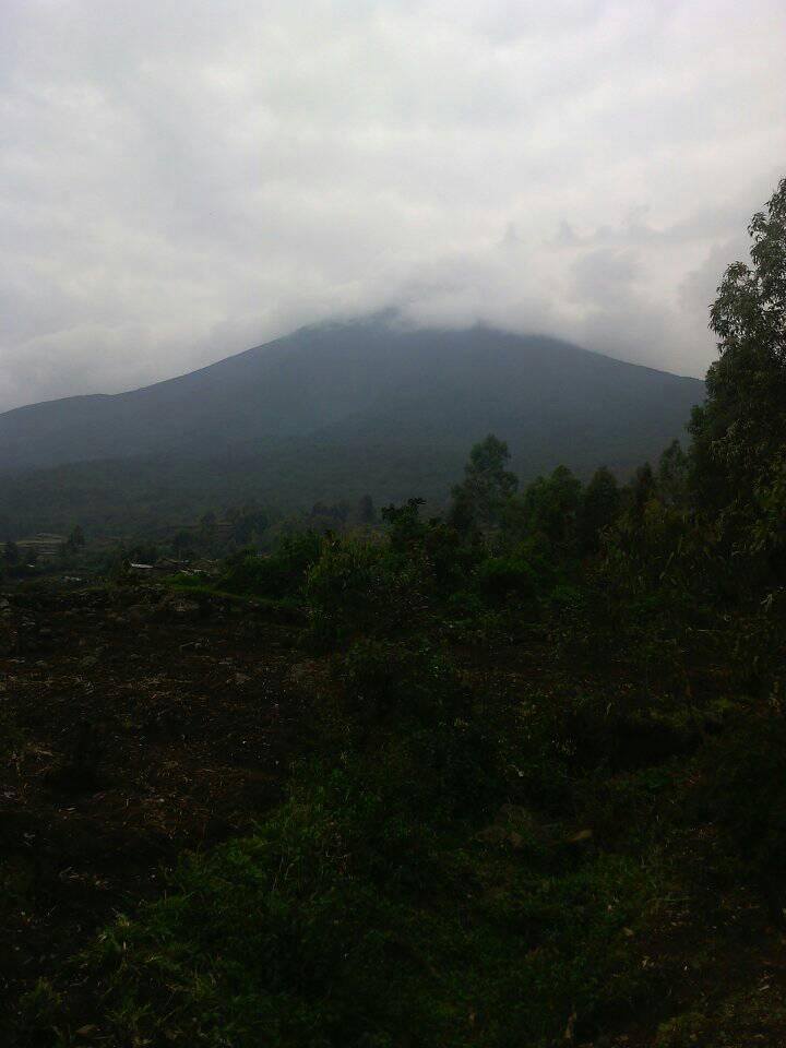 Hike Mount Sabyinyo and Meet the Golden Monkeys in Uganda