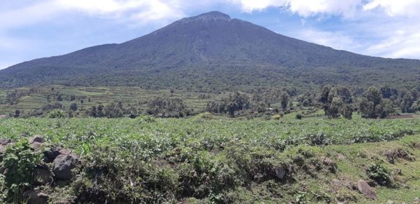 Explore Mount Bisoke Rwanda: Hiking to the Two Crater Lakes